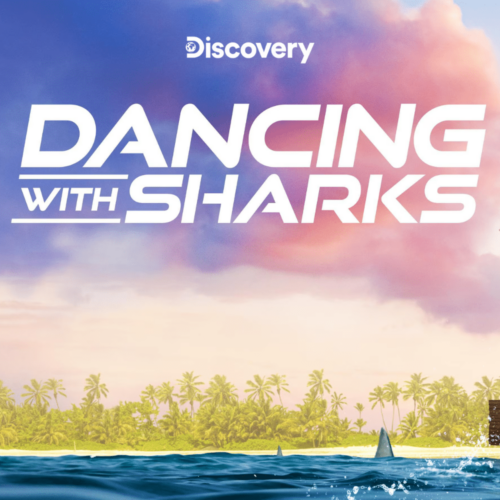 Featured Placement: "Who Me?" by Olivia King - Bodega Sync